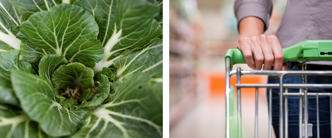 The Grocery Perimeter: The Dynamic Fresh Food Frontier