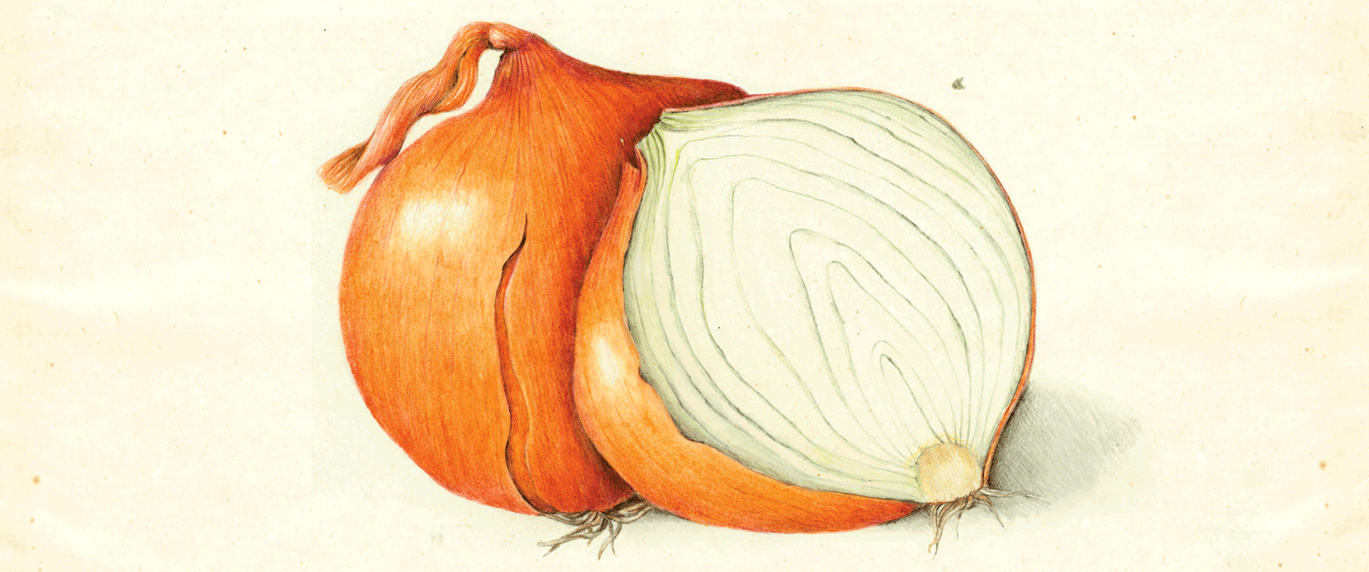 Communication Arts Features FoodMix’s Onionology Campaign